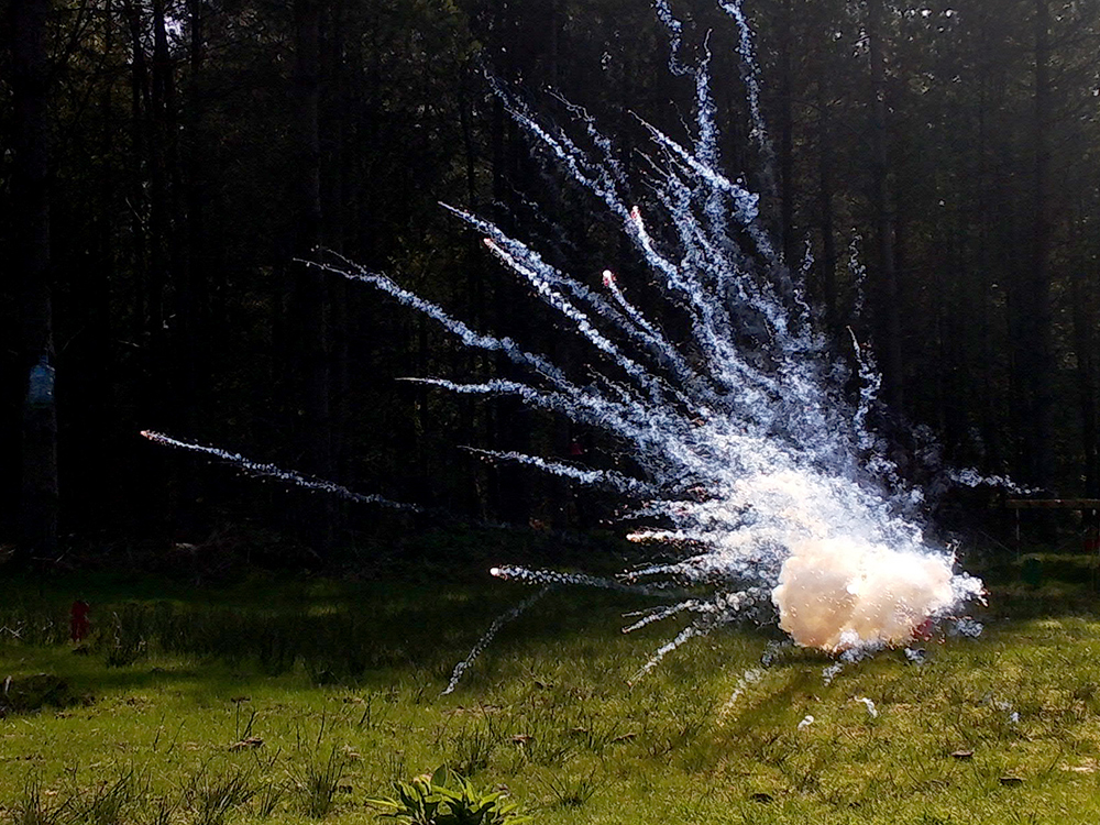 Special Weapons - Go Wild At The Warren